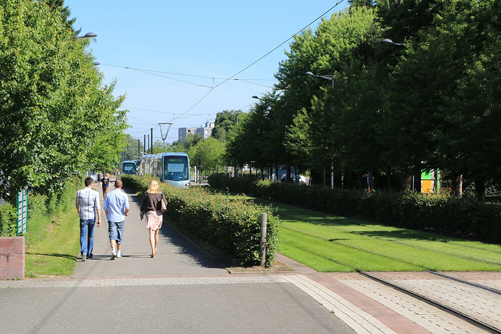 Pourquoi étudier à l’UPHF | Université Polytechnique Hauts-de-France